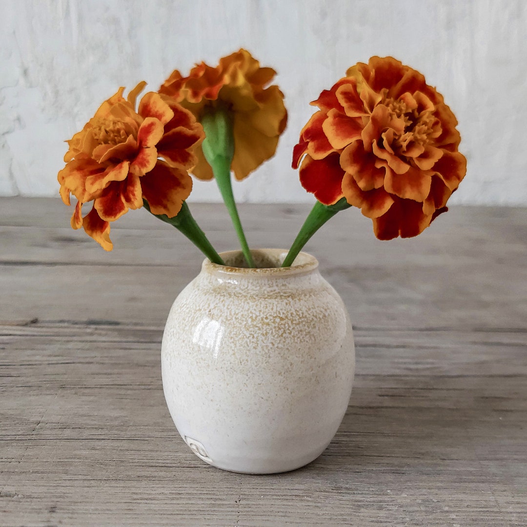 Mini Vases Tiny Geometric Flower Pot White and Brown Pottery Mini ...