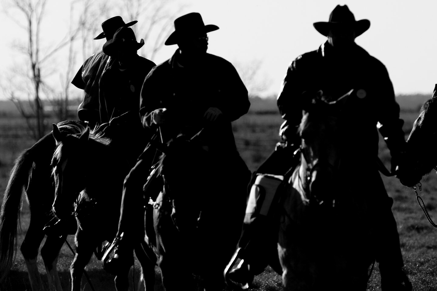19x13 Photo Print of Cowboys - Etsy