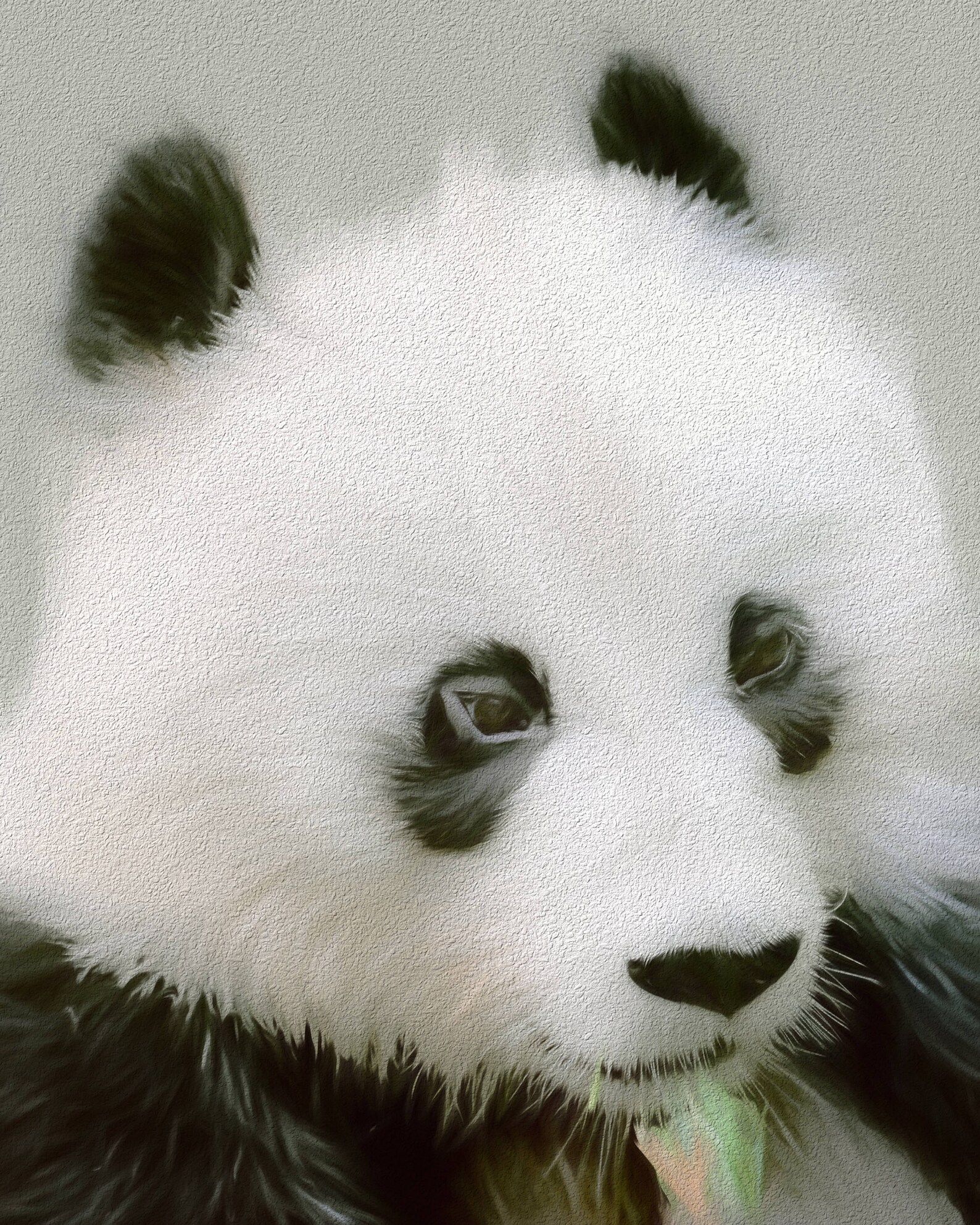 Panda Bear Print Set - 2 Prints Panda Nursery Decor 16x20 Gray Oil ...