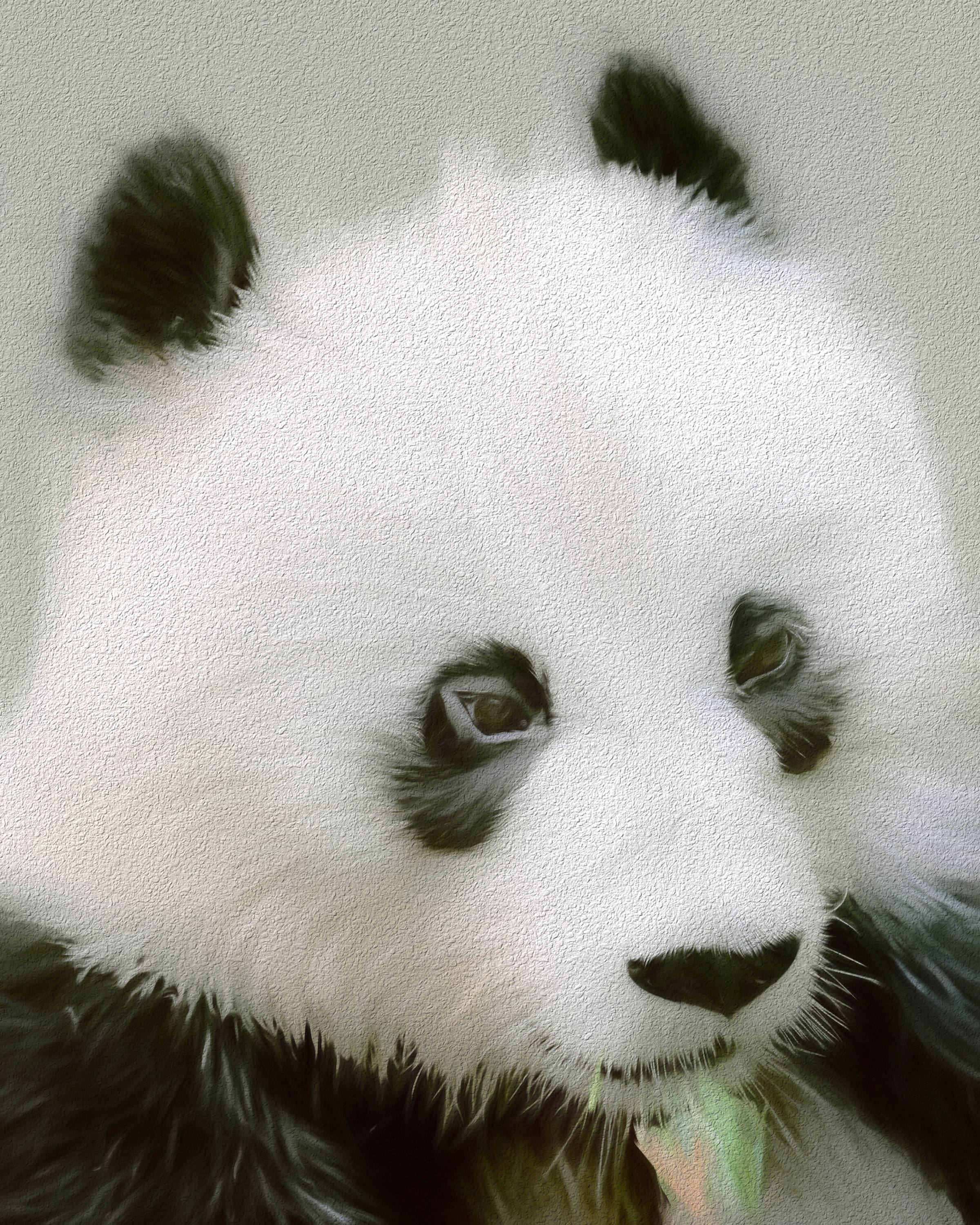 Panda Bear Print Set 2 Prints Panda Nursery Decor 16x20 Gray - Etsy