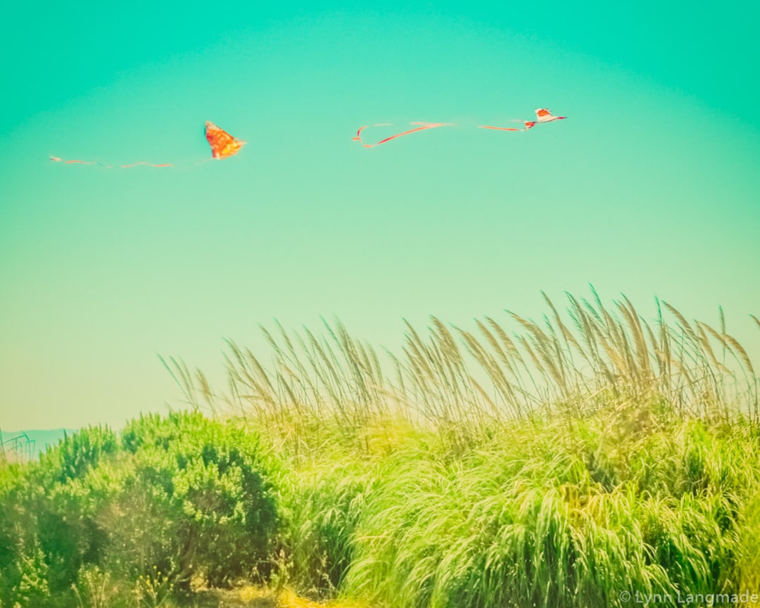 Nursery Kite Print - Mint Green Beach Wall Art 5x7 Unisex Nursery Decor ...