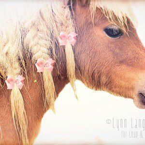 Pony Wall Art - Horse Portrait, Horse Wall Decor 11x14 Braided Pony ...