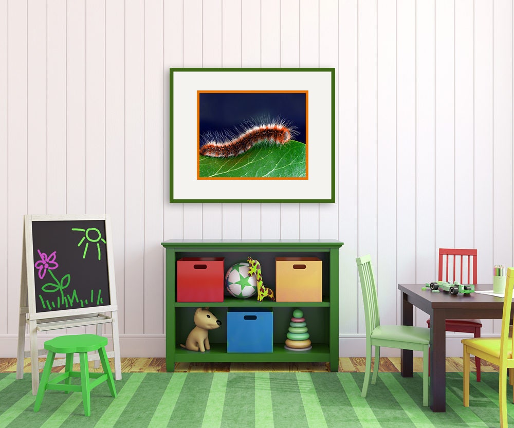Caterpillar Wall Art - Orange Caterpillar Green Unisex Kids Playroom ...
