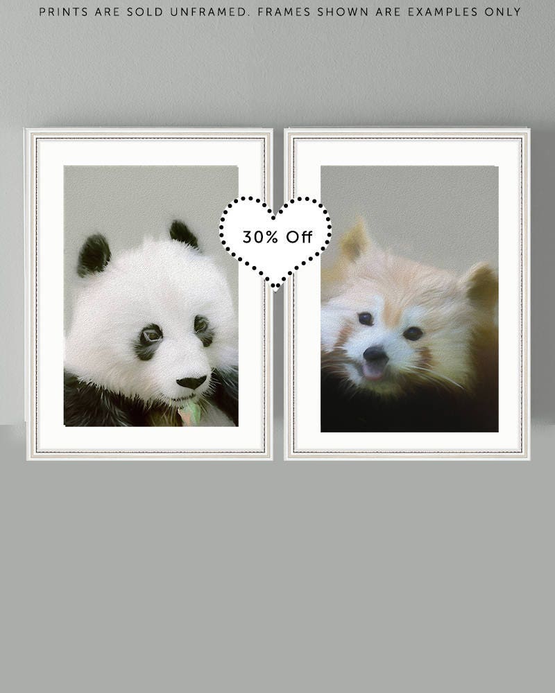 Panda Bear Print Set - 2 Prints Panda Nursery Decor 16x20 Gray Oil ...