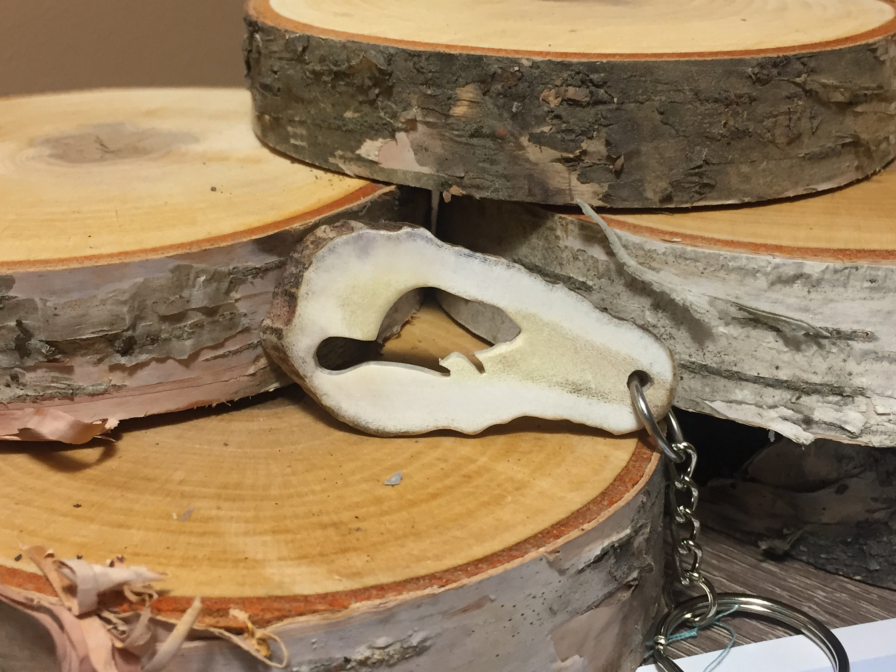 Moose Antler Keychain, Antler Gift, Shed Antler, Antler Keyring ...