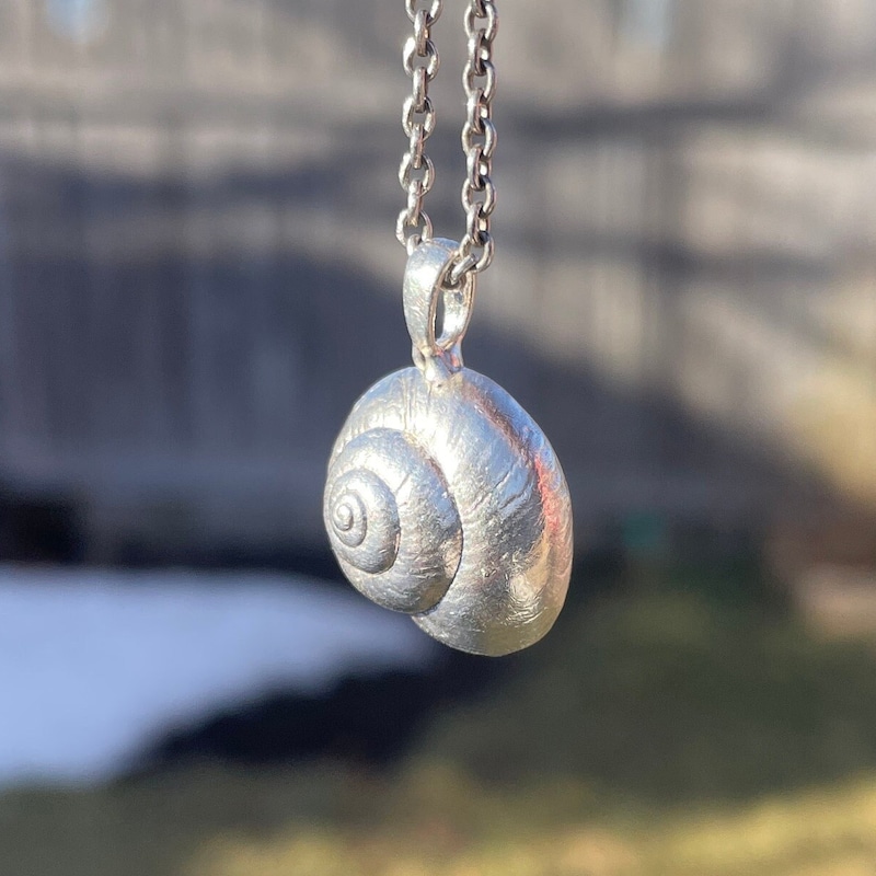 Moon Snail - Etsy