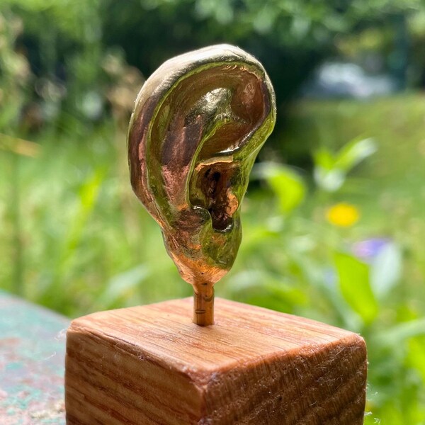 Ear Sculpture - Etsy