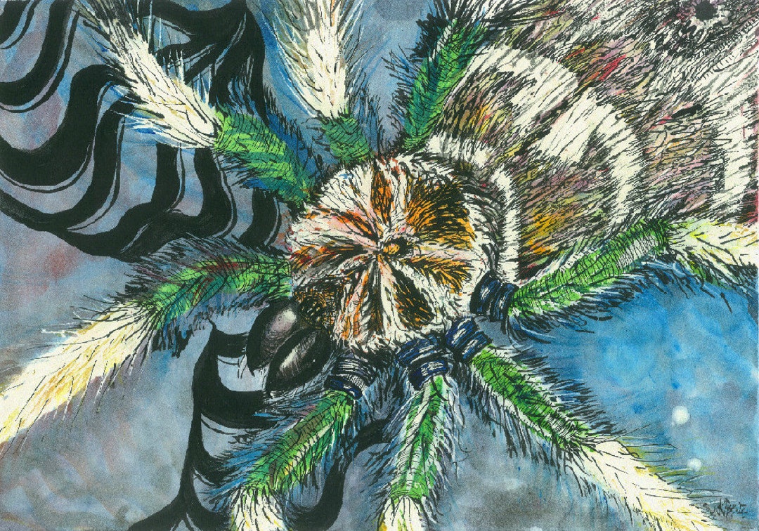 Spider Art Original Painting "tarantula" Contemporary Art Abstract ...