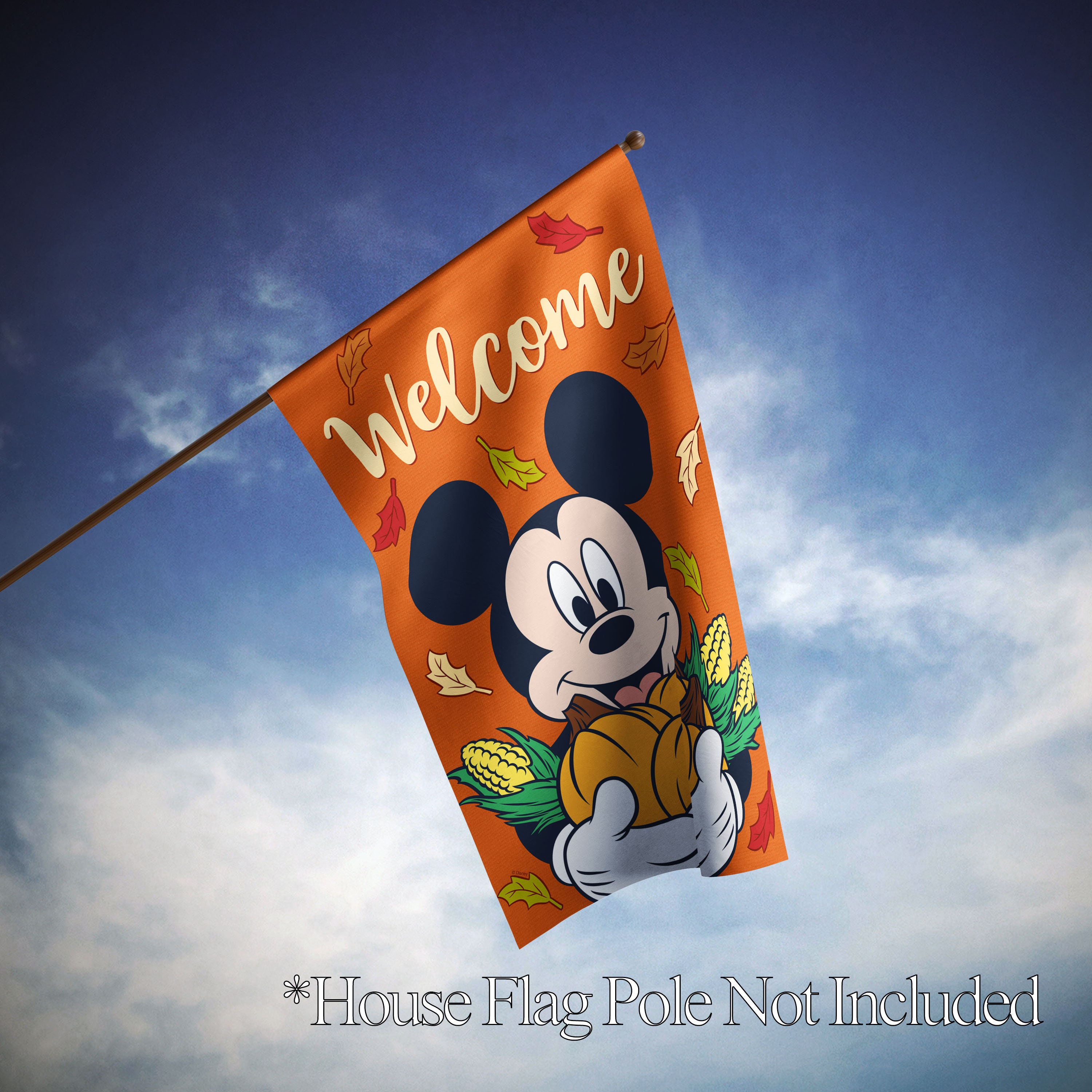 Disney House Flags