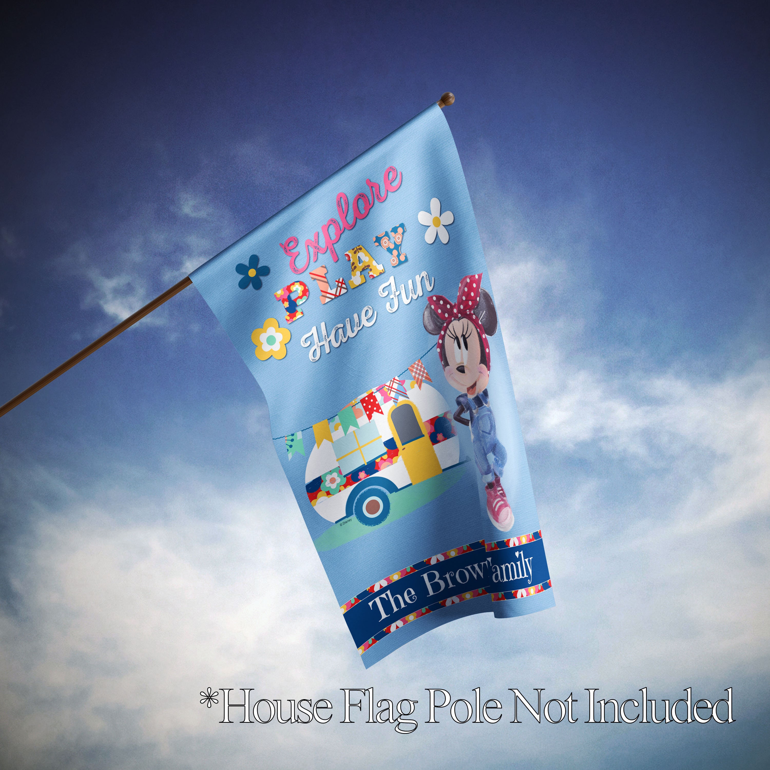 Disney House Flags