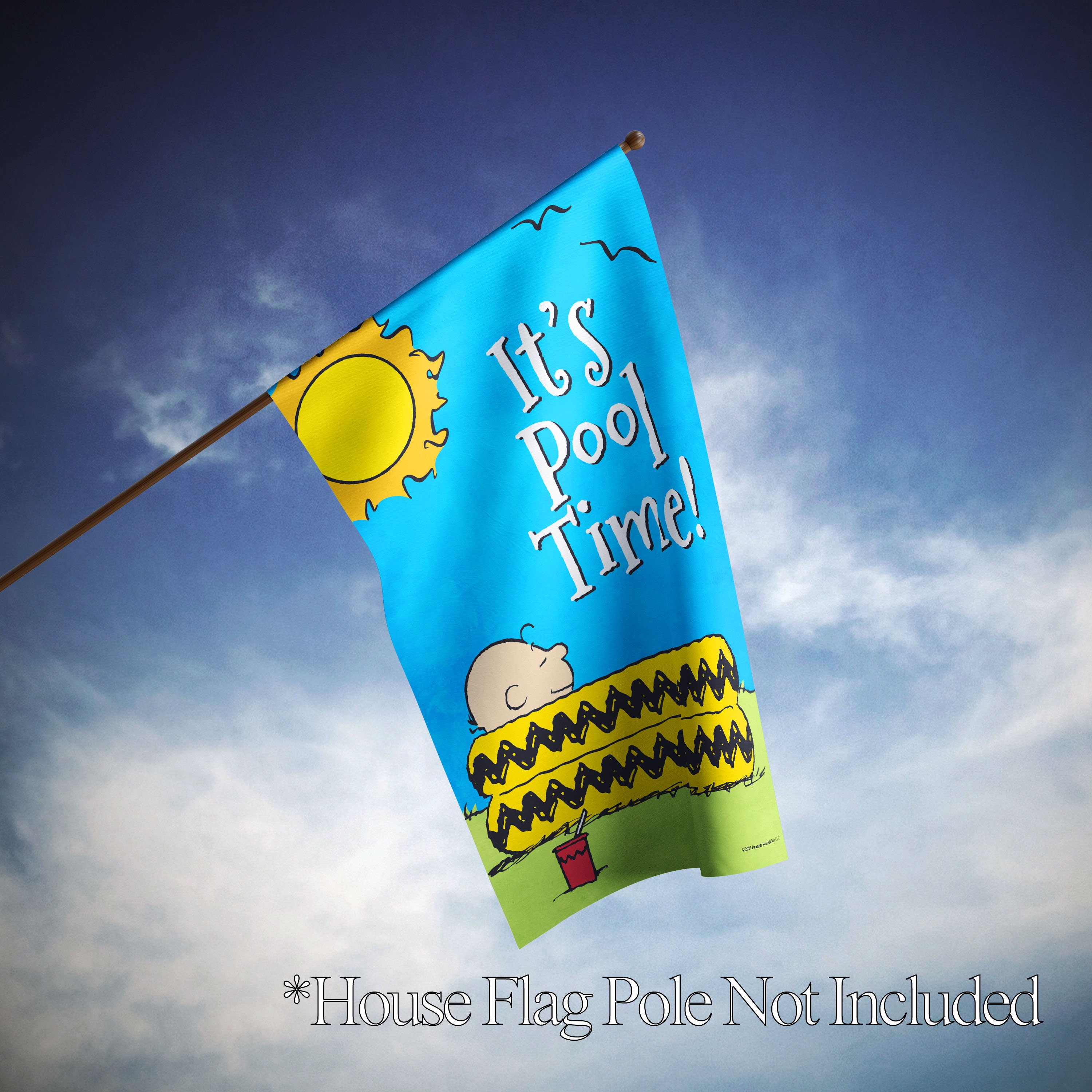 PEANUTS® PEANUTS® Pool Time Charlie Brown Garden Flag | Etsy
