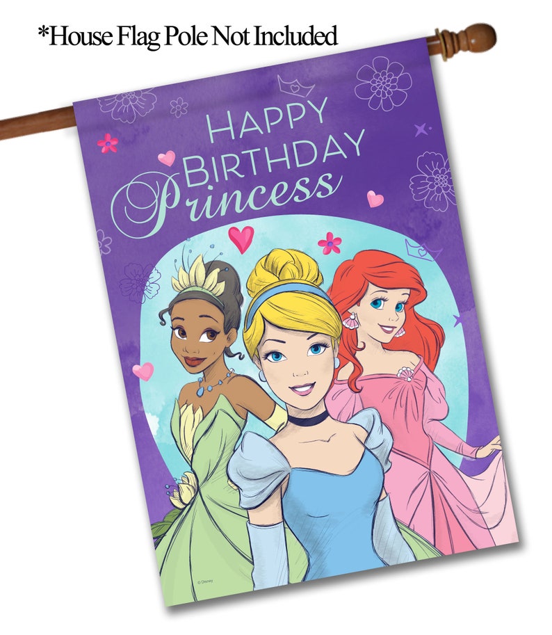 Disney Princess Birthday Garden Flag, Birthday Party House Flag ...