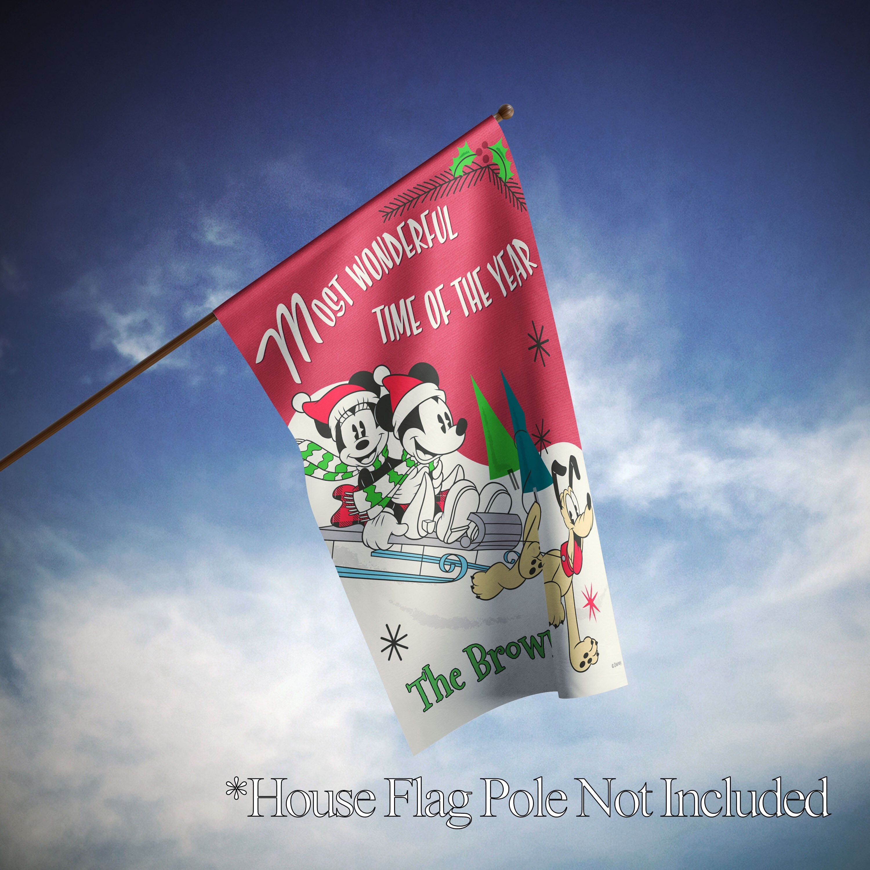 Disney House Flags