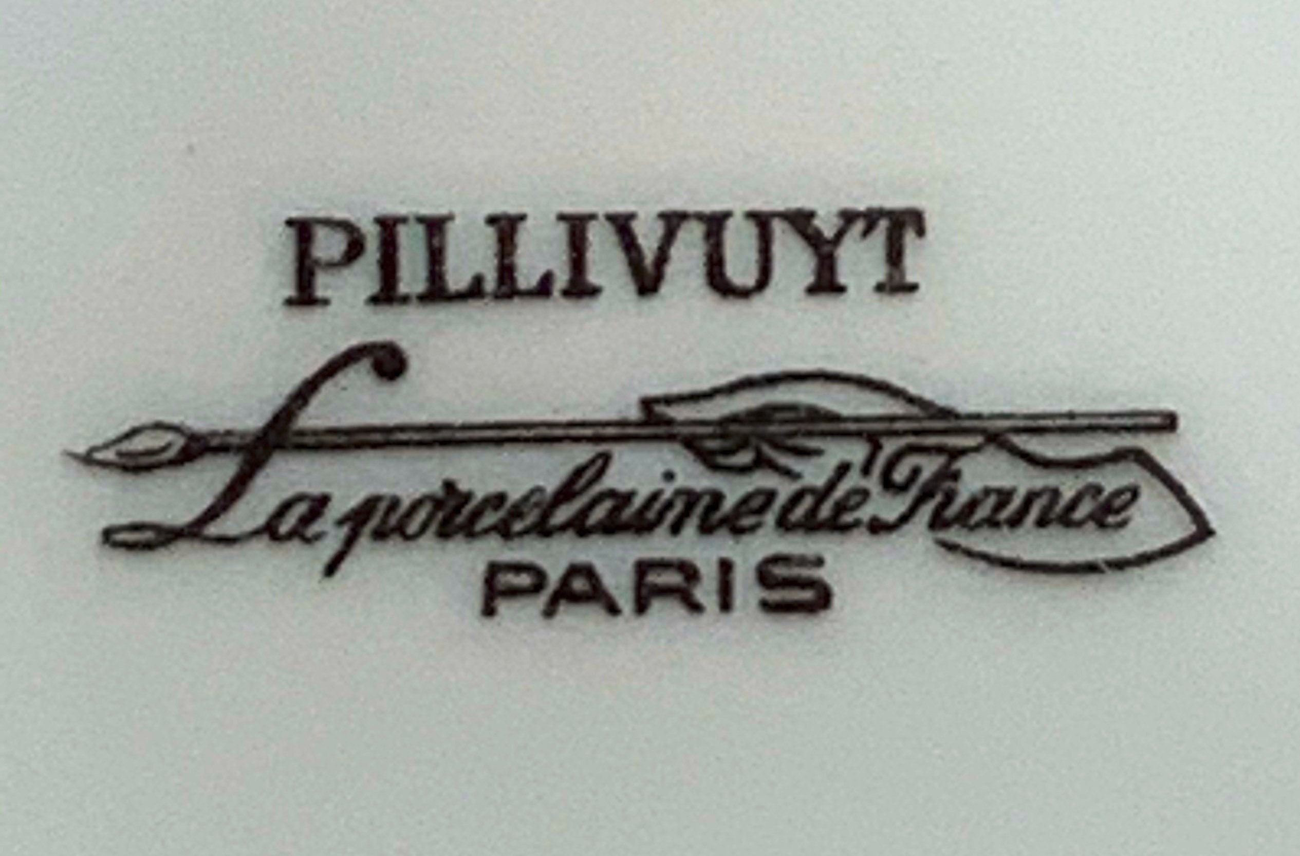 Antique Hand Painted Pillivuyt La Porcelaine De France Paris Porcelain ...