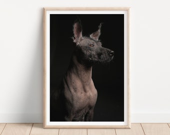 Xolo Dog Poster - Etsy
