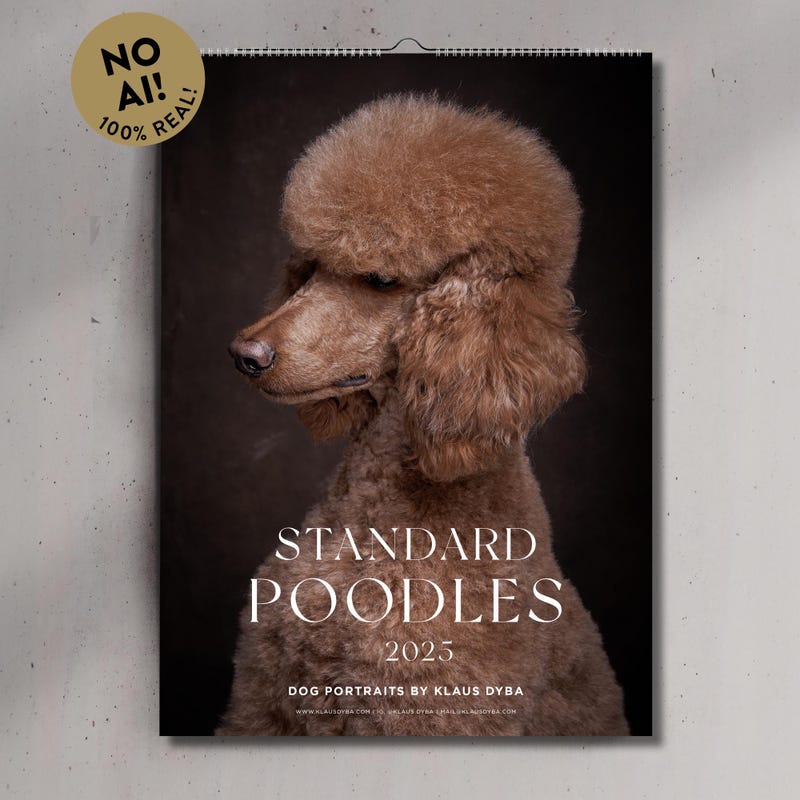 Poodle Art - Etsy