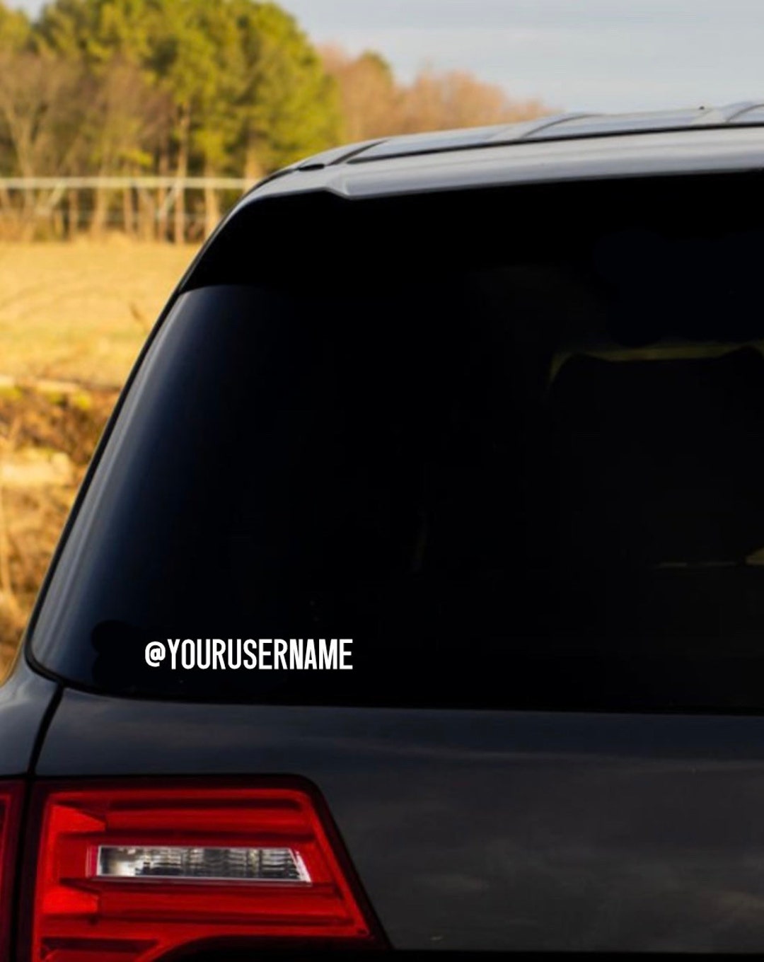 Instagram Handle Car Decal, Tik Tok Handle Car Decal, Dog Car Decal ...