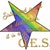 OES Past Matron Badge - Silhouette and Cricut Cut Files - Jpeg, Svg ...