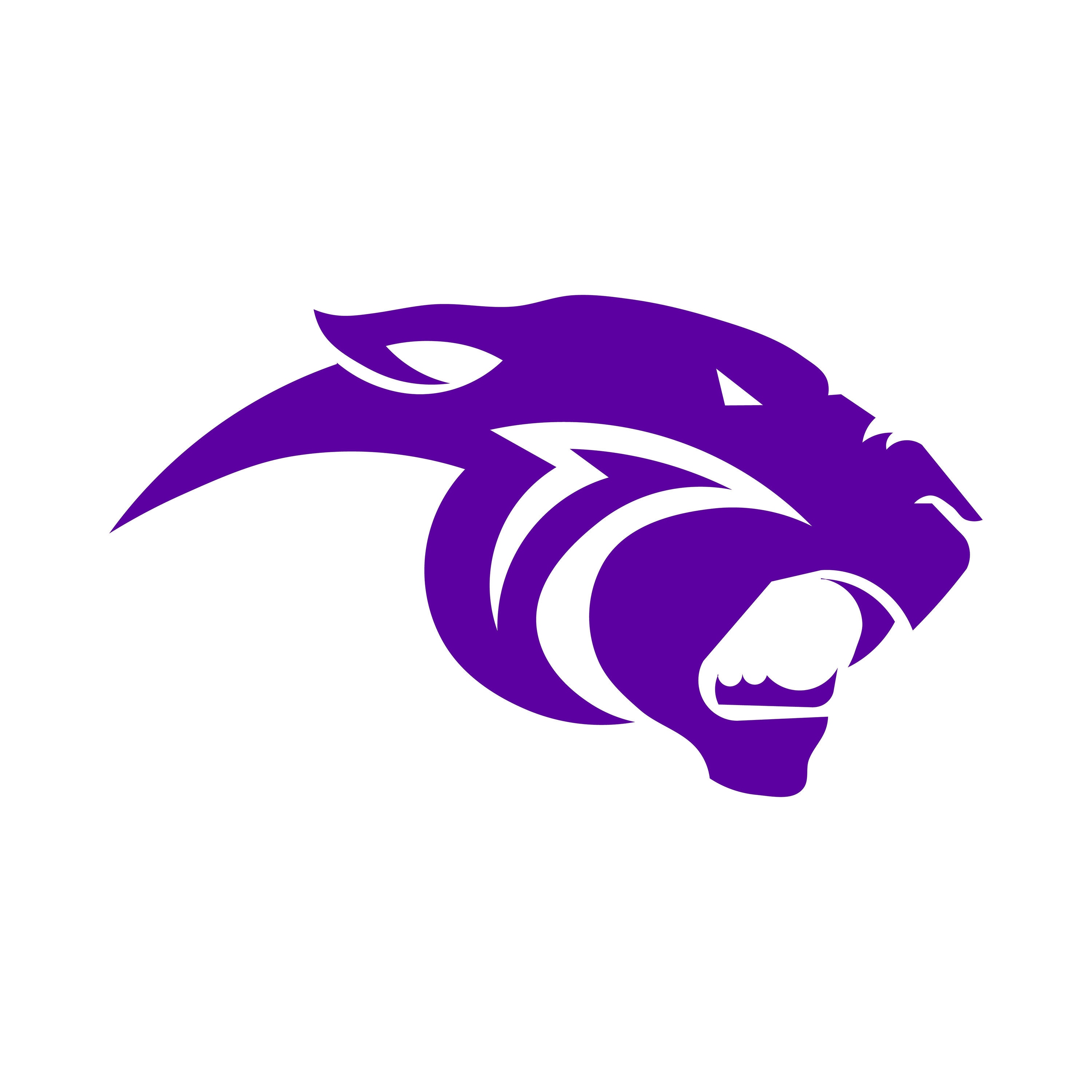 Purple Panther Mascot