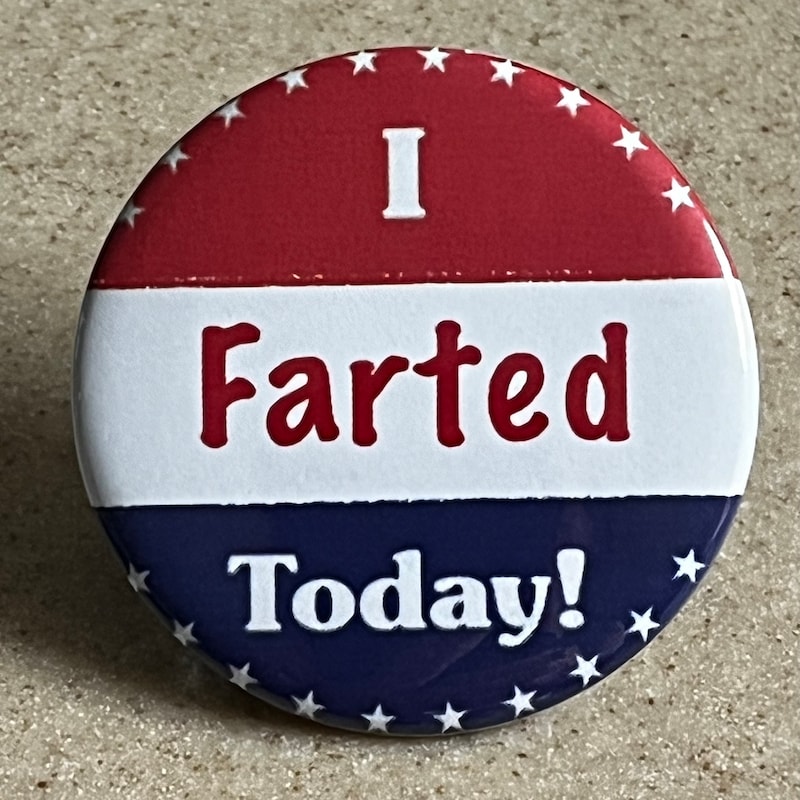 I Farted Vote Sticker - Etsy