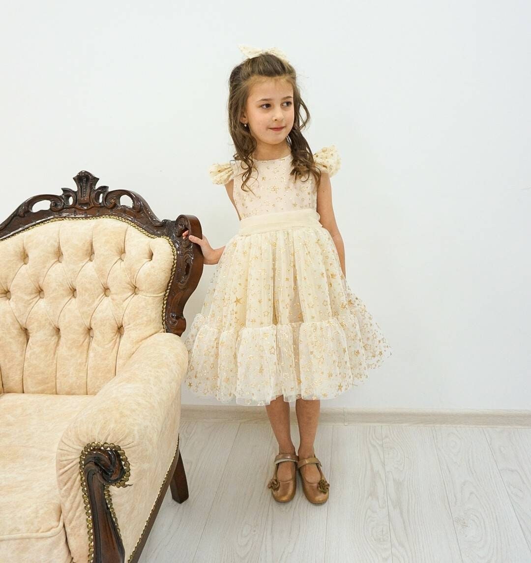 First Birthday Dress, Princess Dress, Butterfly Sleeve, Baby Girl Dress ...