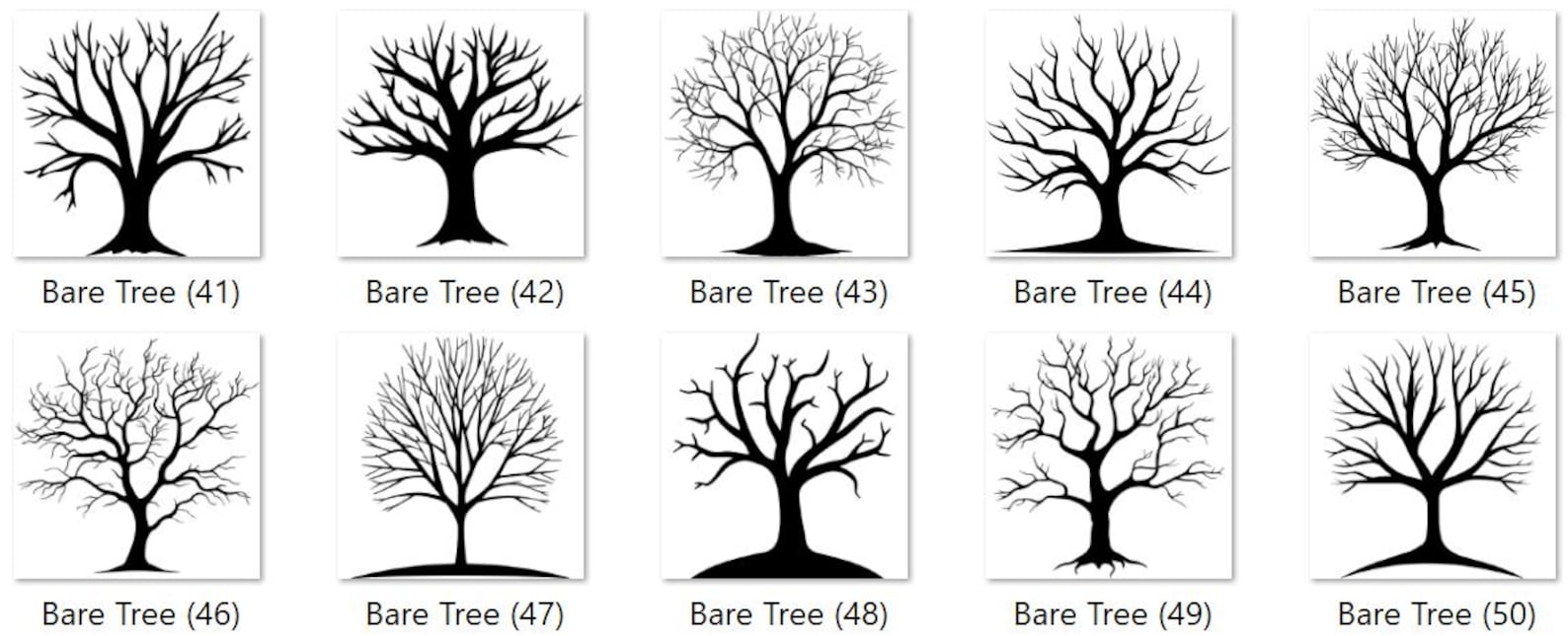 High Quality Bare Tree SVG Bundle, Leafless Tree Svg, Forest Tree Svg ...