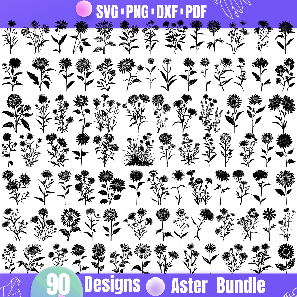 High Quality Aster SVG Bundle, Aster Dxf, Aster Png, Aster Vector ...