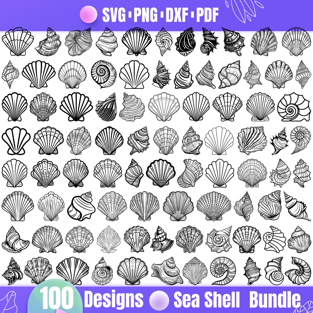 High Quality Sea Shell SVG Bundle, Sea Shell Dxf, Sea Shell Png, Sea ...