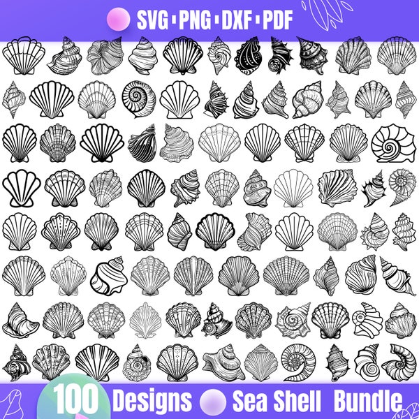Seashell Svg - Etsy