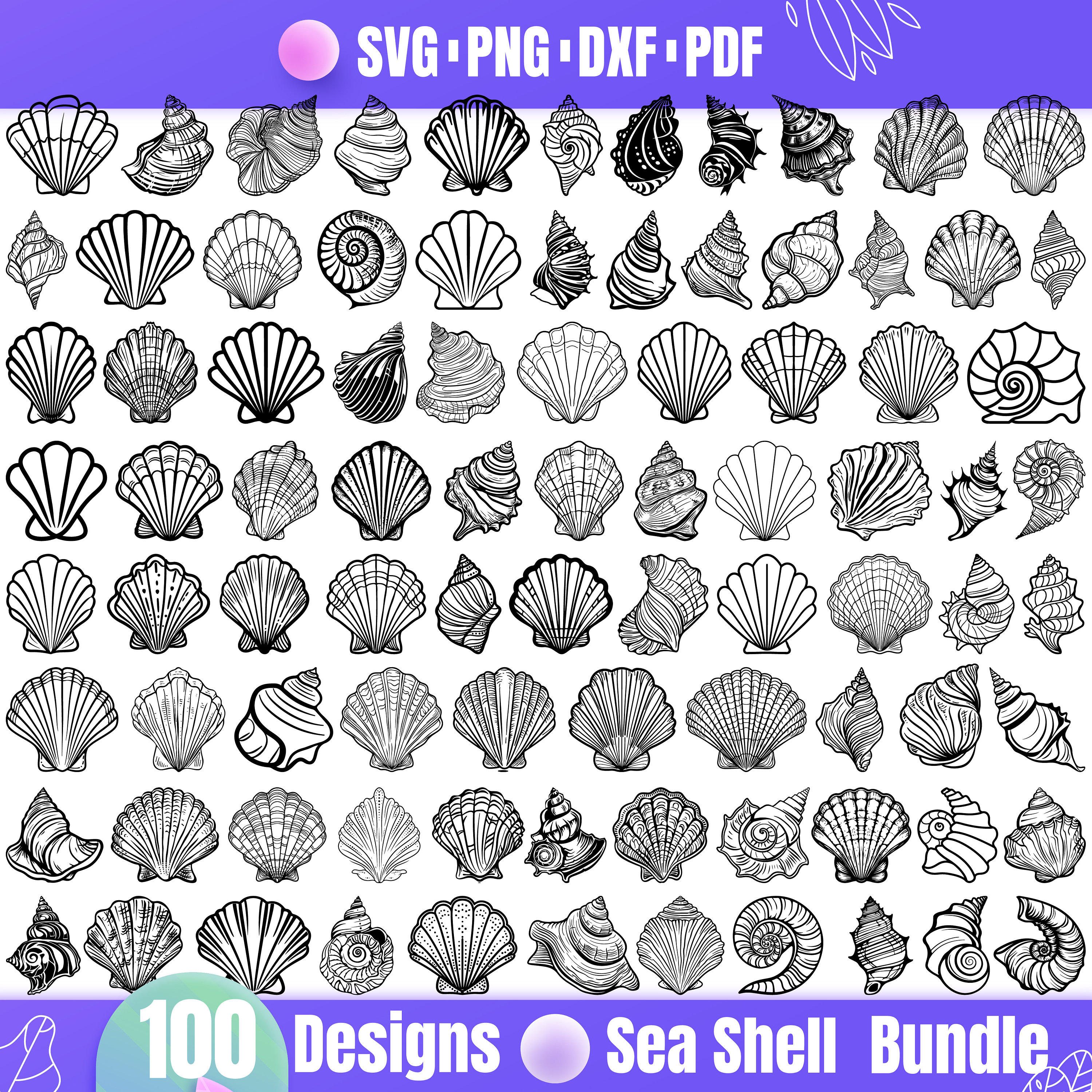 High Quality Sea Shell SVG Bundle, Sea Shell Dxf, Sea Shell Png, Sea ...