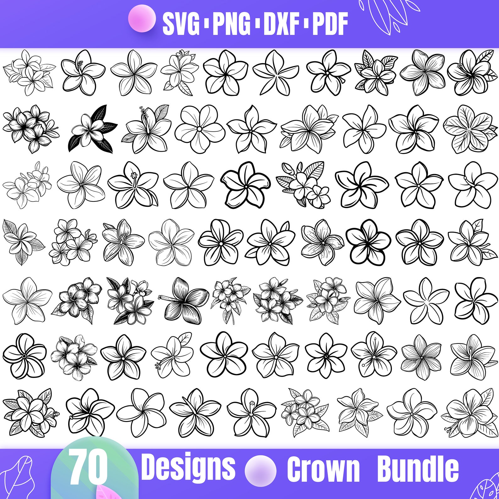 High Quality Plumeria SVG Bundle, Plumeria Dxf, Plumeria Png, Plumeria ...