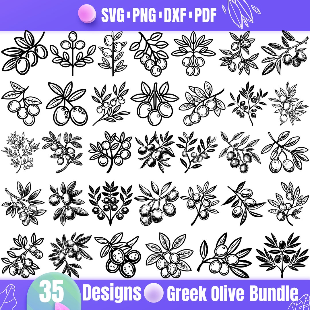 Greek Olive SVG Bundle | 35 Olive Branch & Fruit Clipart Designs for ...