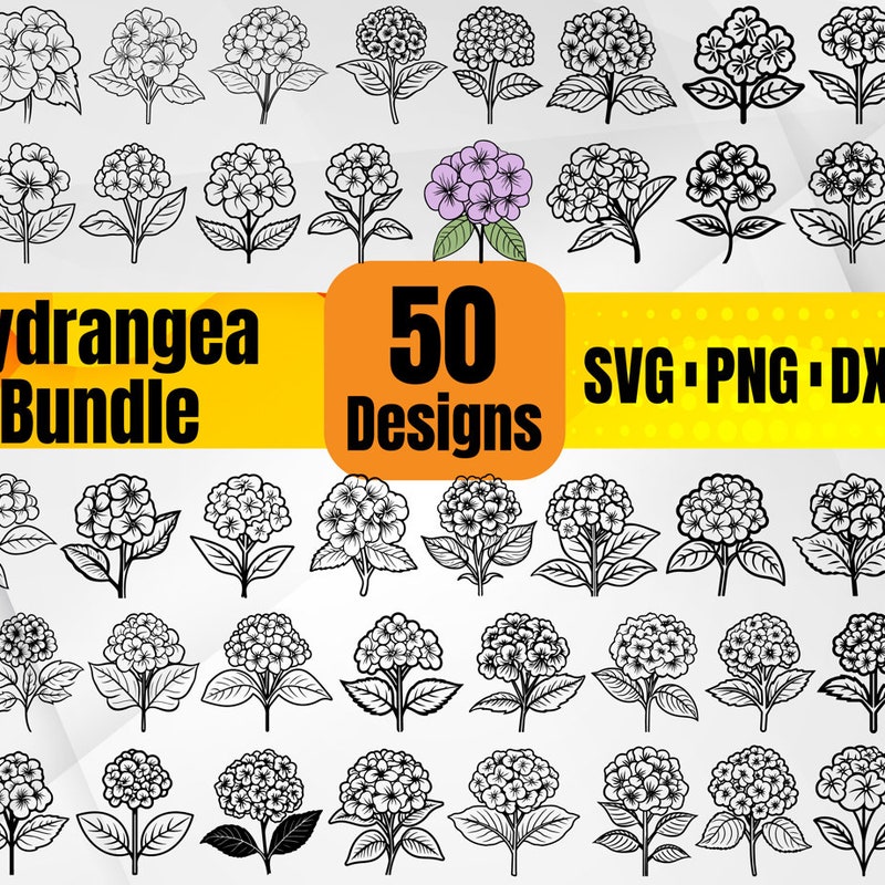 Hydrangea Plant - Etsy