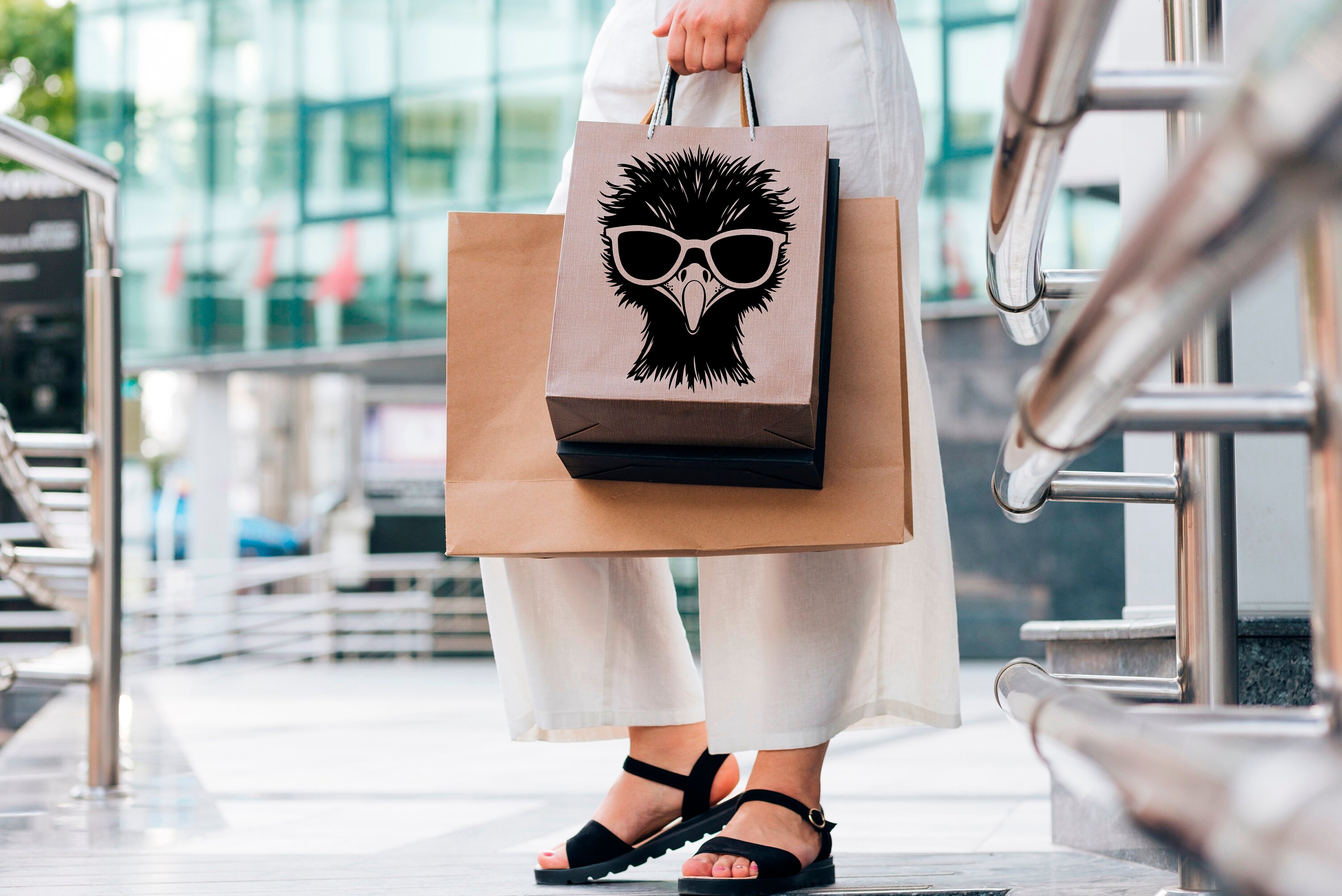 High Quality Emu SVG Bundle, Emus Svg, Ostrich Svg, Emu Monogram, Emu ...