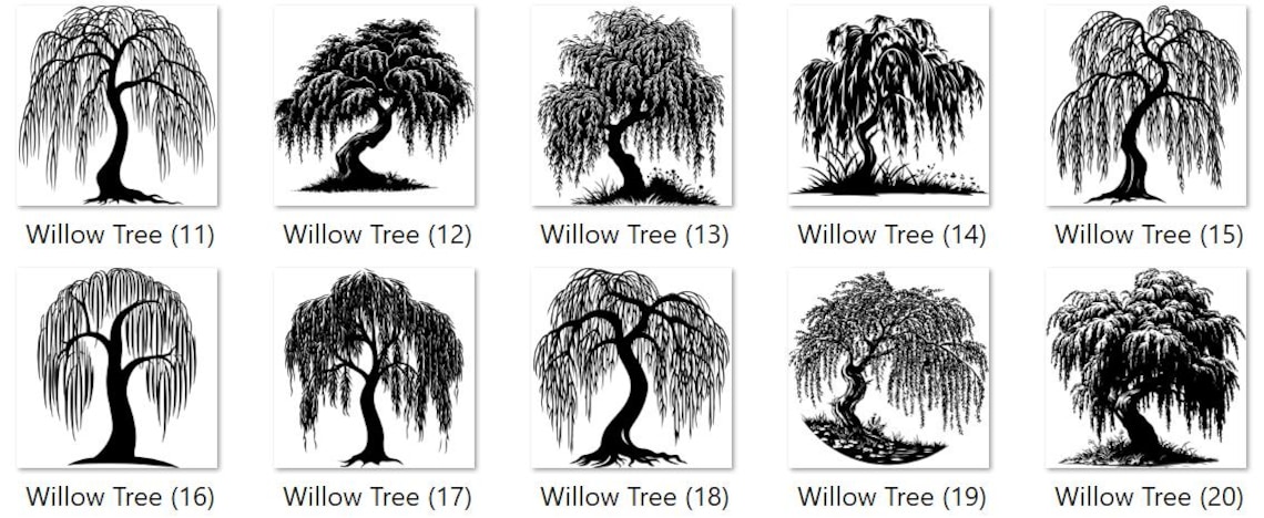 High Quality Willow Tree SVG Bundle, Willow Tree Dxf, Willow Tree Png ...