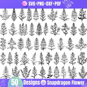 Snapdragon Flower Svg - Elegant Floral Design for Crafts and ...