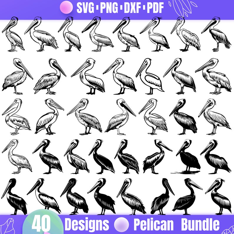 High Quality Pelican SVG Bundle, Pelican Dxf, Pelican Png, Pelican ...