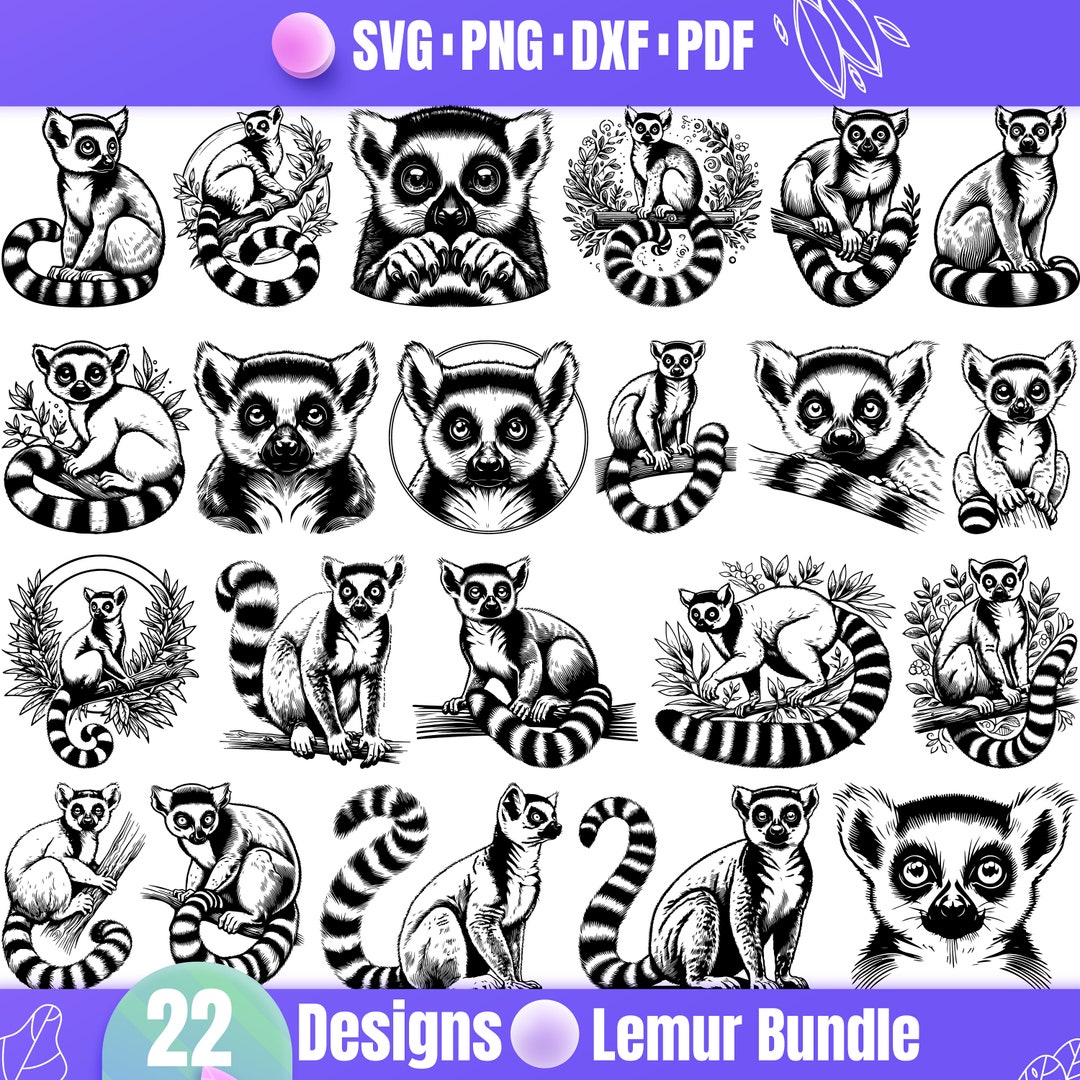 High Quality Lemur SVG Bundle, Lemur Dxf, Lemur Png, Lemur Vector ...