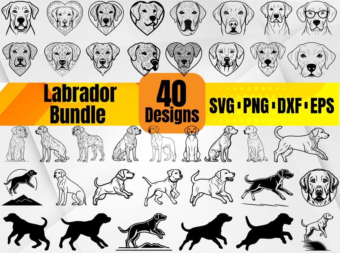 High Quality Labrador Retriever SVG Bundle, Labrador Face Svg, Labrador ...