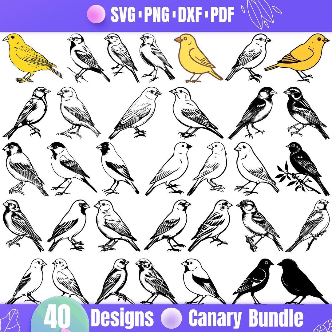 High Quality Canary Bird SVG Bundle,songbird Svg, Canary Bird Dxf ...