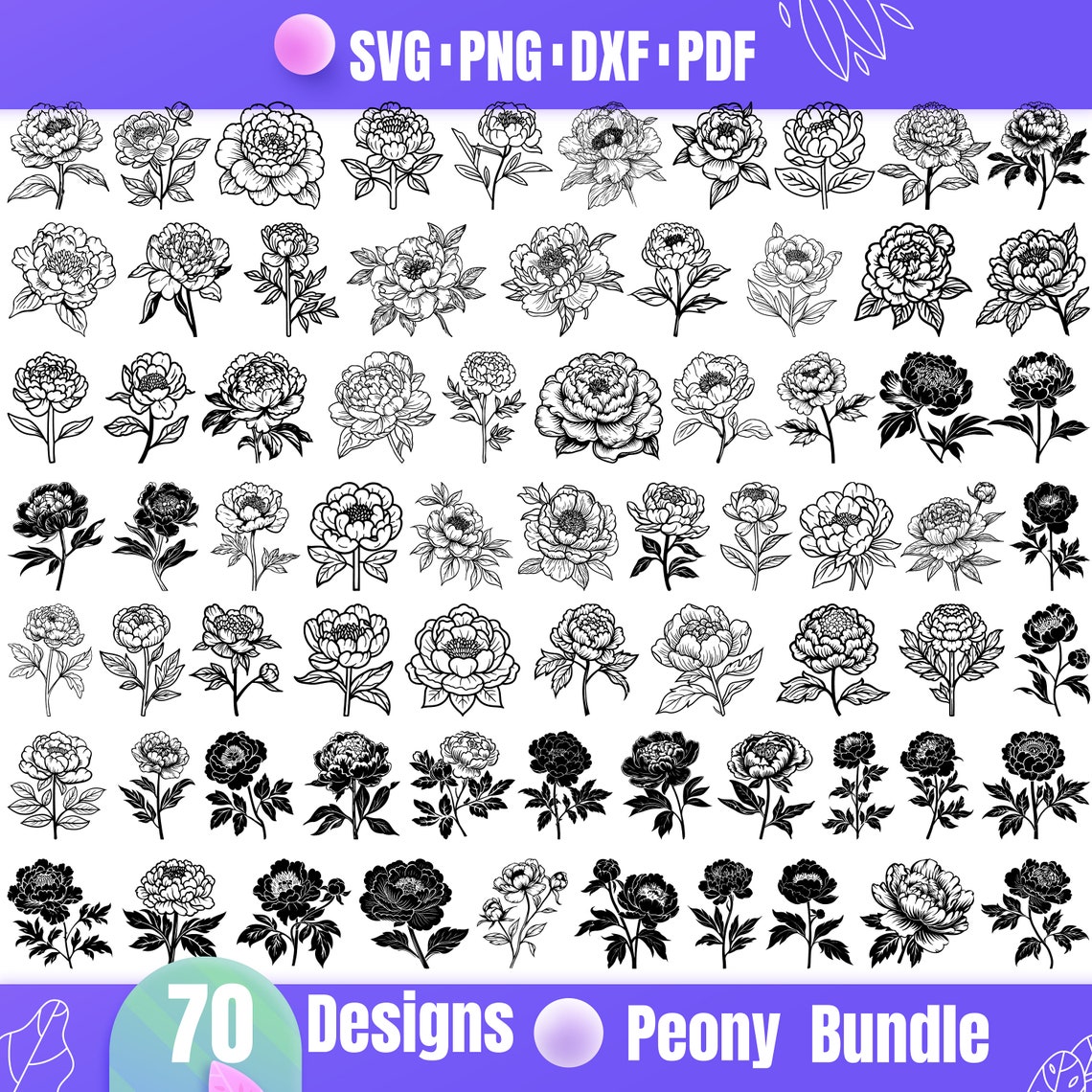 High Quality Peony SVG Bundle, Peony Dxf, Peony Png, Peony Vector ...