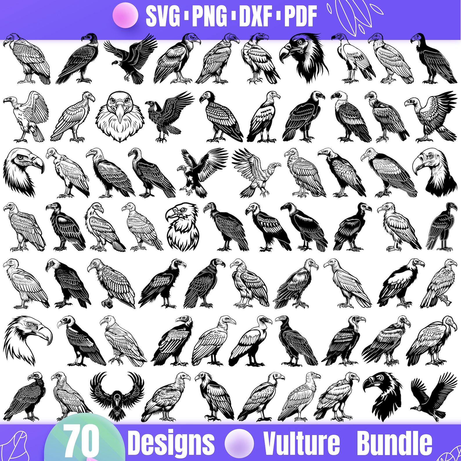 High Quality Vulture SVG Bundle, Vulture Dxf, Vulture Png, Vulture ...