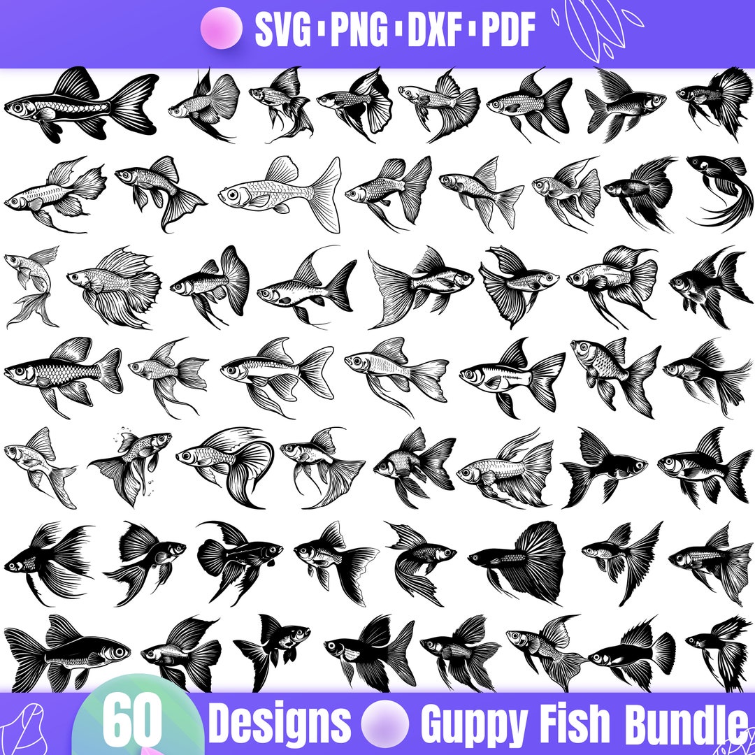 High Quality Guppy Fish SVG Bundle, Guppy Fish Dxf, Guppy Fish Png ...