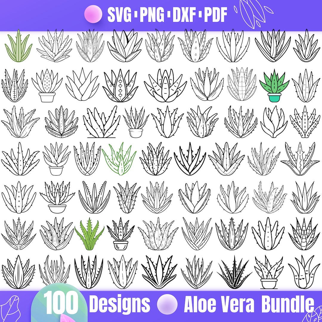 Aloe Vera Svg - Natural Plant Design for Wellness and Home Decor - Etsy