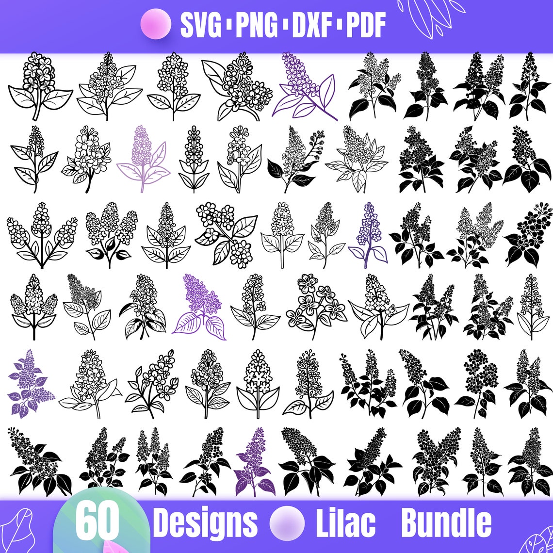 High Quality Lilac SVG Bundle, Lilac Dxf, Lilac Png, Lilac Vector ...