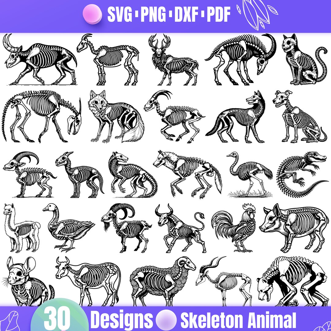 High Quality Animal Skeleton SVG Bundle, Animal Skeleton Dxf, Animal ...