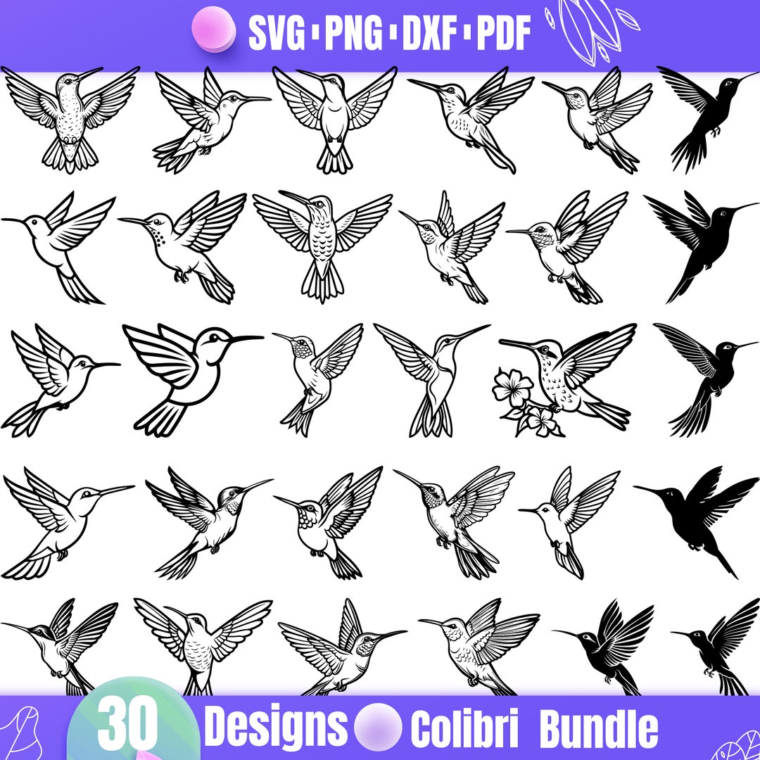 High Quality Colibri SVG Bundle, Hummingbird Svg, Colibri Dxf, Colibri ...