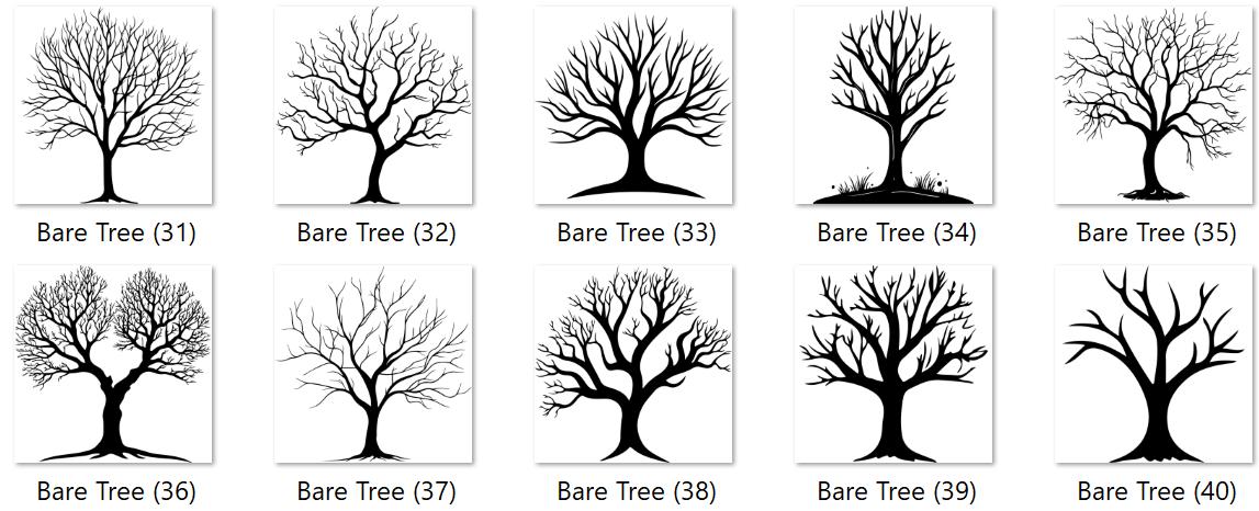 High Quality Bare Tree SVG Bundle, Leafless Tree Svg, Forest Tree Svg ...