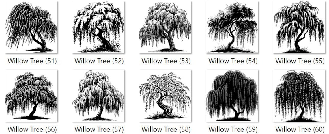 High Quality Willow Tree SVG Bundle, Willow Tree Dxf, Willow Tree Png ...