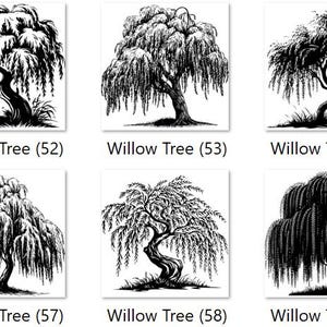 High Quality Willow Tree SVG Bundle, Willow Tree Dxf, Willow Tree Png ...